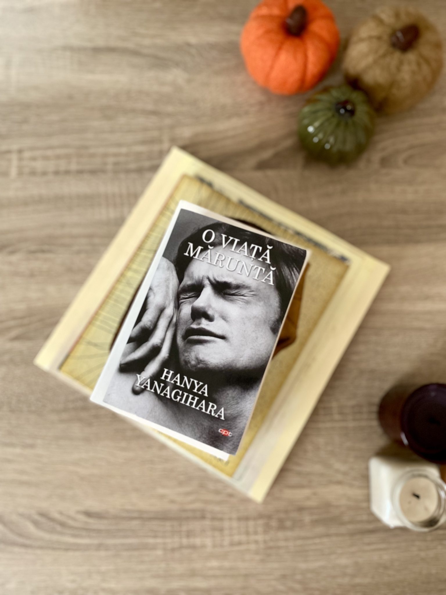 Câteva lecții învățate din „O viață măruntă”, de Hanya Yanagihara ...